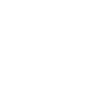 Discover muque: The Japanese Band on the Rise (2026)